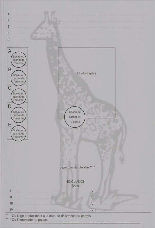 Syria - International Driving Permit